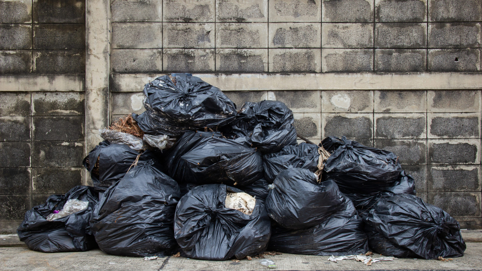 Trade Waste Collections | Shorts Group | Recycling |… | Shorts Group