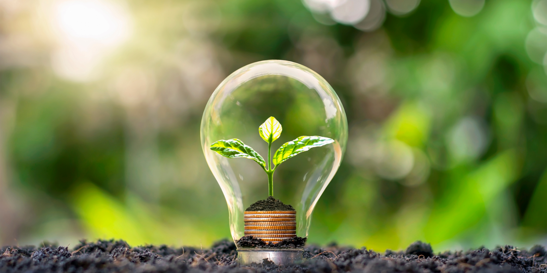 Big Energy Saving Week 2026: How to Save Energy and… | Shorts Group